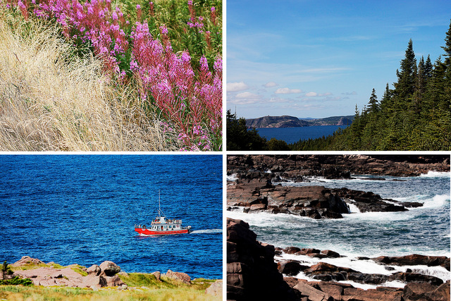 The beautiful province of Newfoundland - Live Laugh Rowe